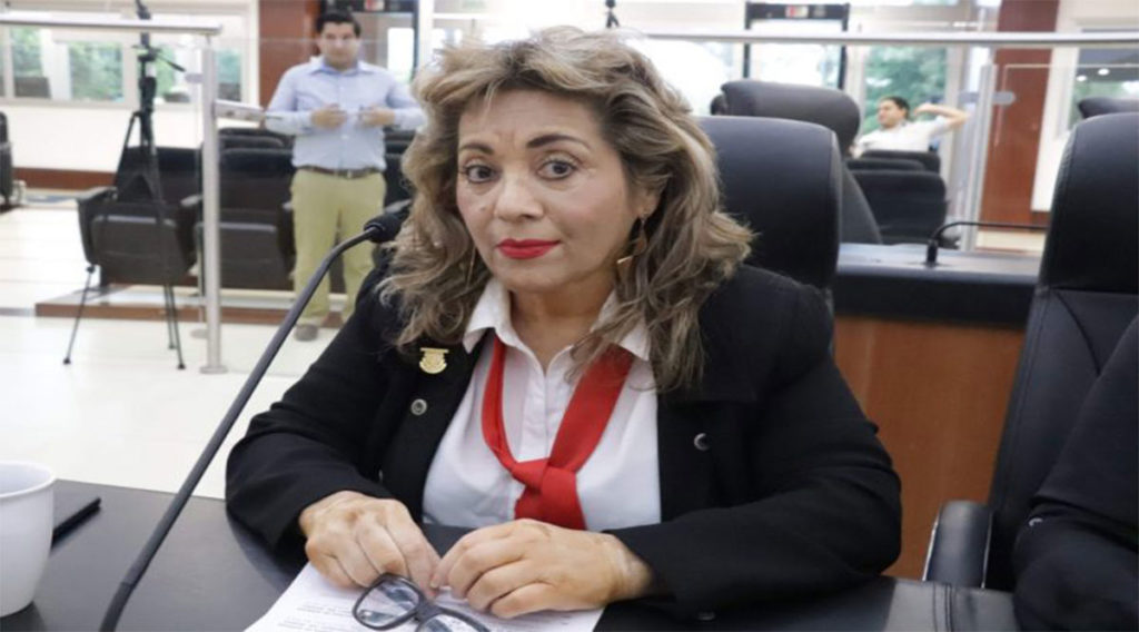Amalia Camacho debe reflexionar por qué se prestó a la farsa morenista ...