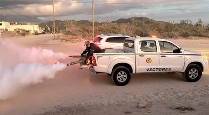 Emite gobierno de Los Cabos recomendaciones para evitar la picadura del ... Emite gobierno de Los Cabos recomendaciones para evitar la picadura del ...