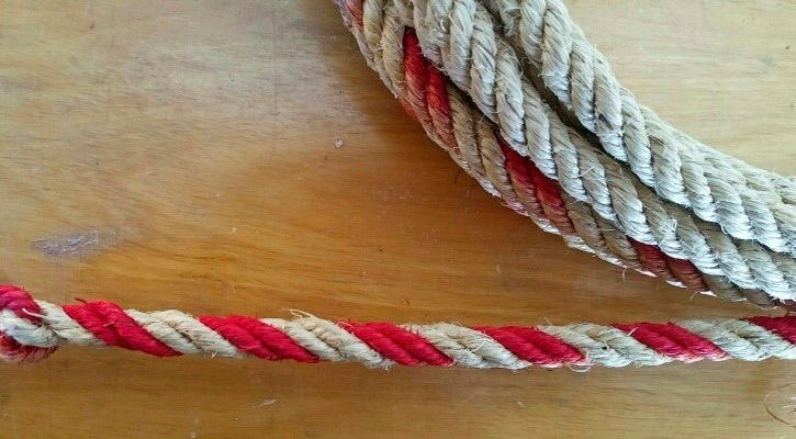 Fiestas Tradicionales San José del Cabo 2025 contarán con concurso ...